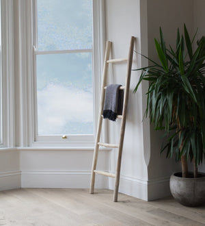 Nordish Teak Ladder Shelf | Vaunt Design